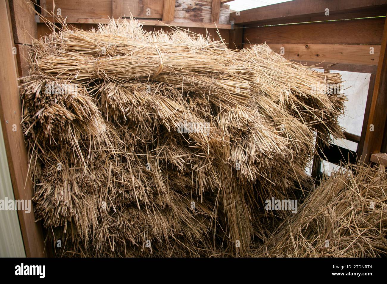Straw piled up in a warehouse in a rural area of Japan Stock Photo - Alamy
