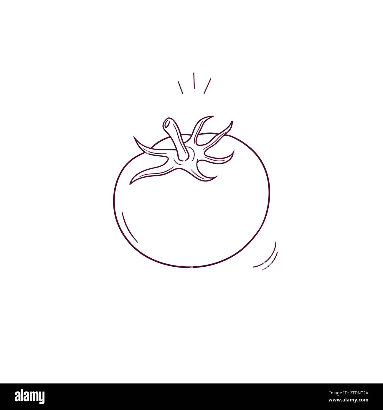 Hand Drawn illustration of tomato icon. Doodle Vector Sketch ...