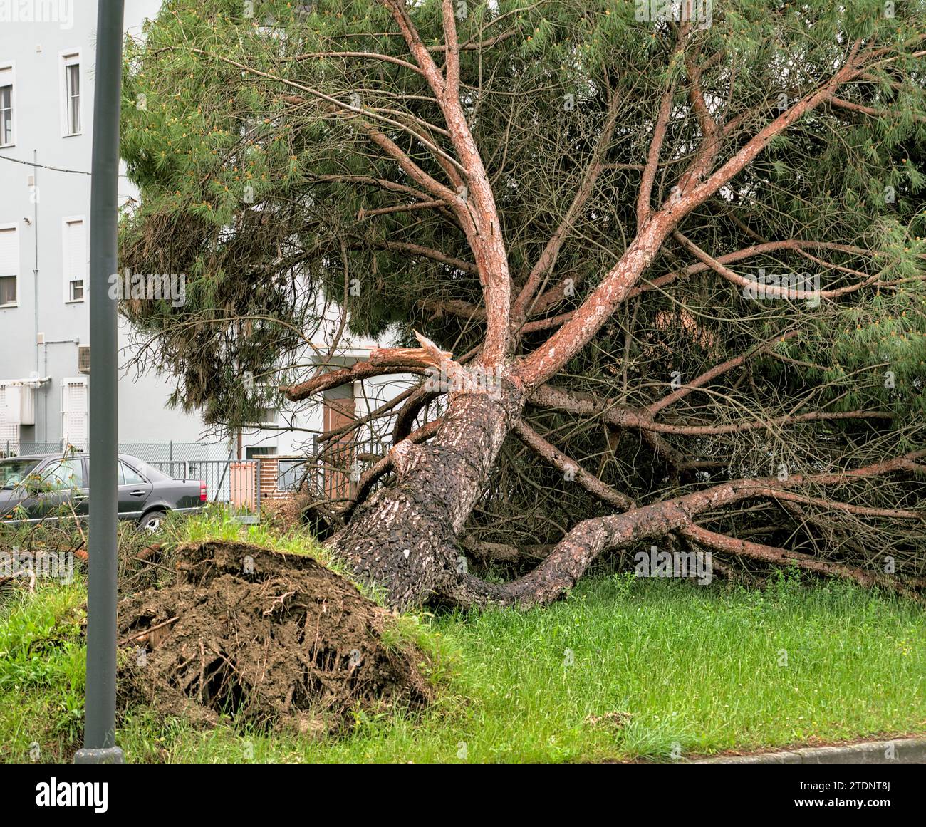 Hurricane ian fort myers beach hi-res stock photography and images - Alamy