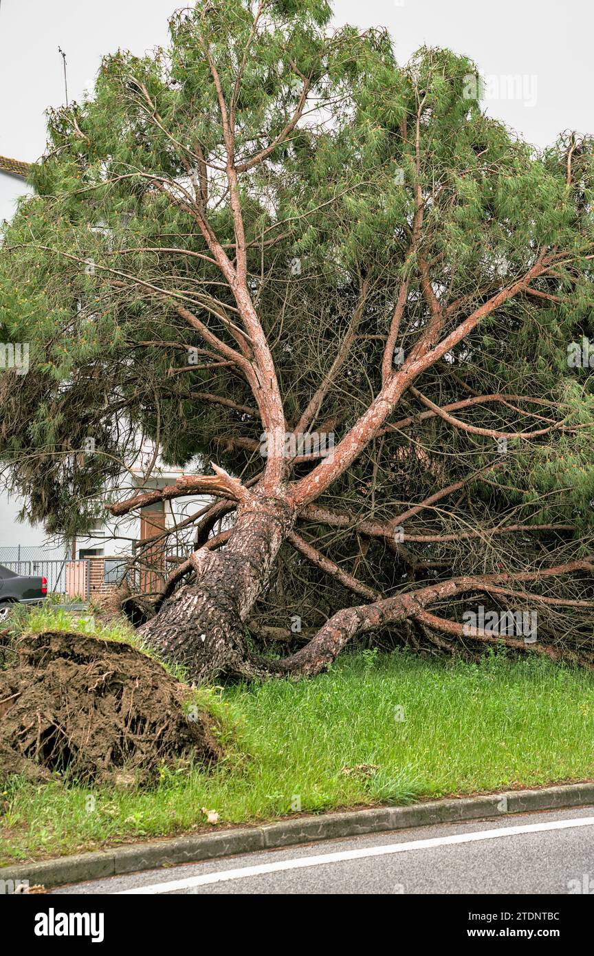 Hurricane ian fort myers beach hi-res stock photography and images - Alamy