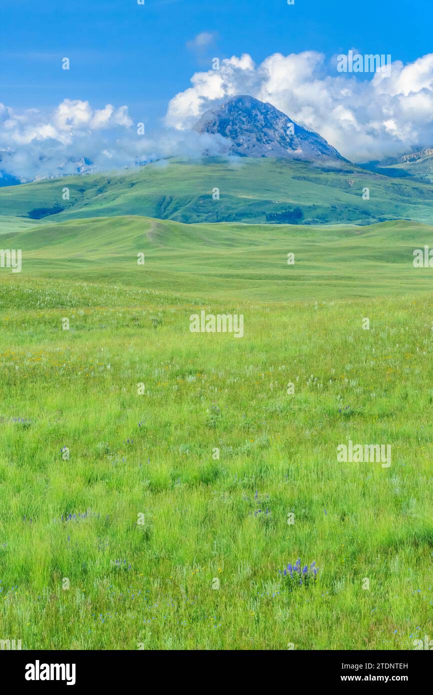 fog lifting over haystack butte above the prairie near augusta, montana ...