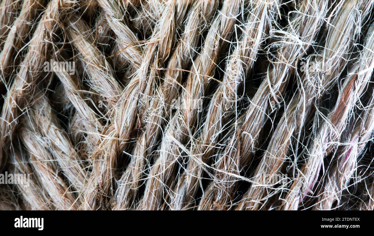 Hairy string hi-res stock photography and images - Alamy