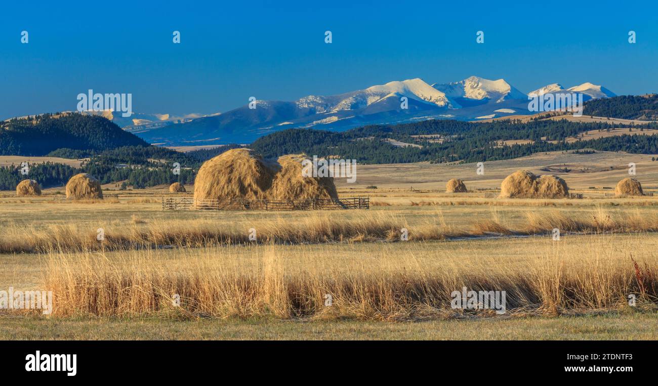 panorama of haystacks in fields below peaks of the flint creek range ...