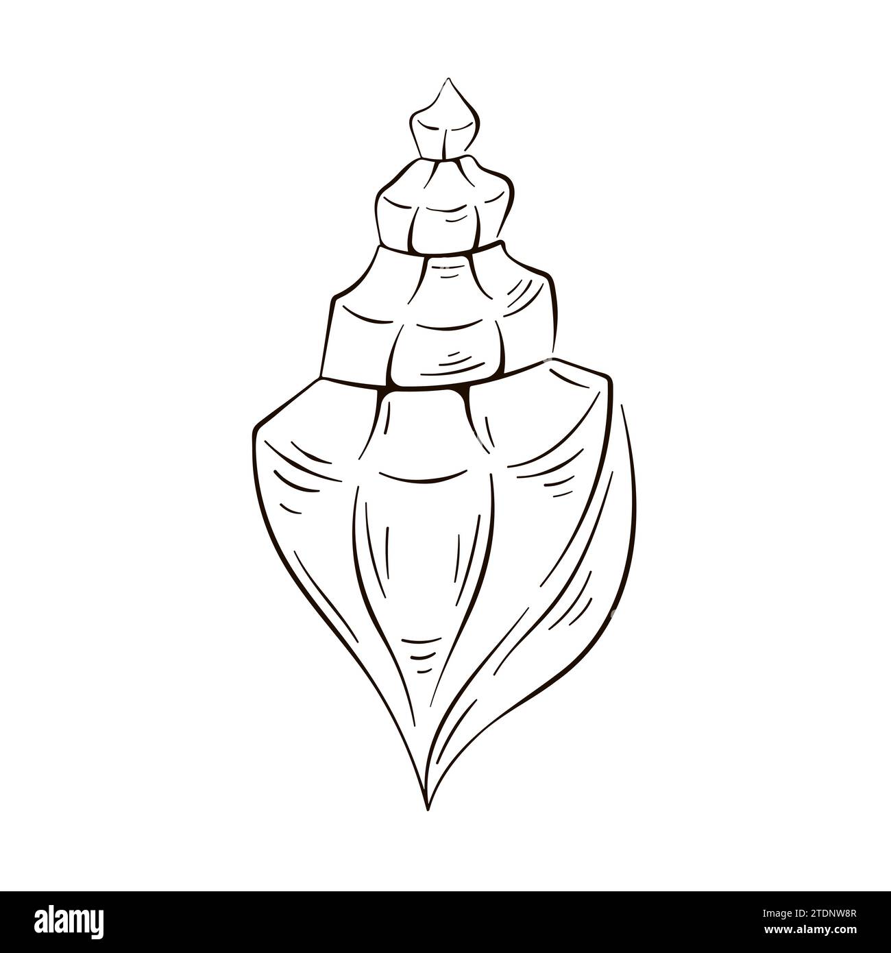 Seashell in line art style. Shell hand drawn simple logo. Vector ...