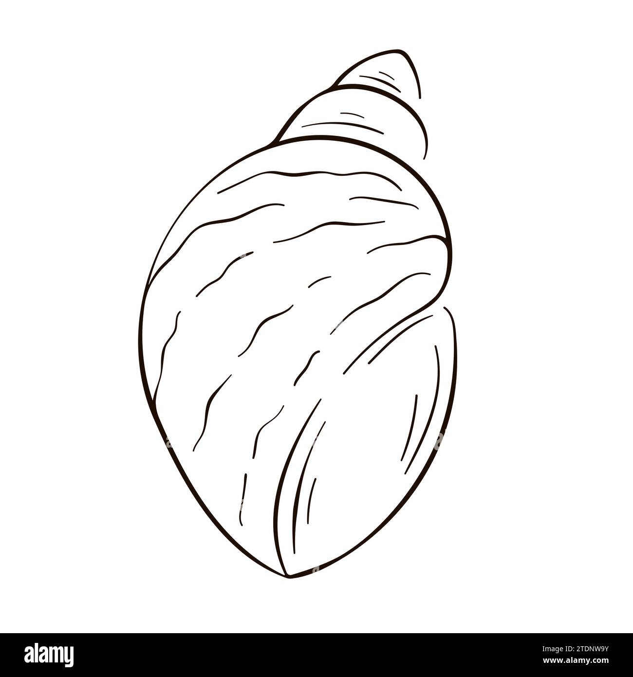 Seashell logo in line art style. Silhouette of seashell icon. Marine ...