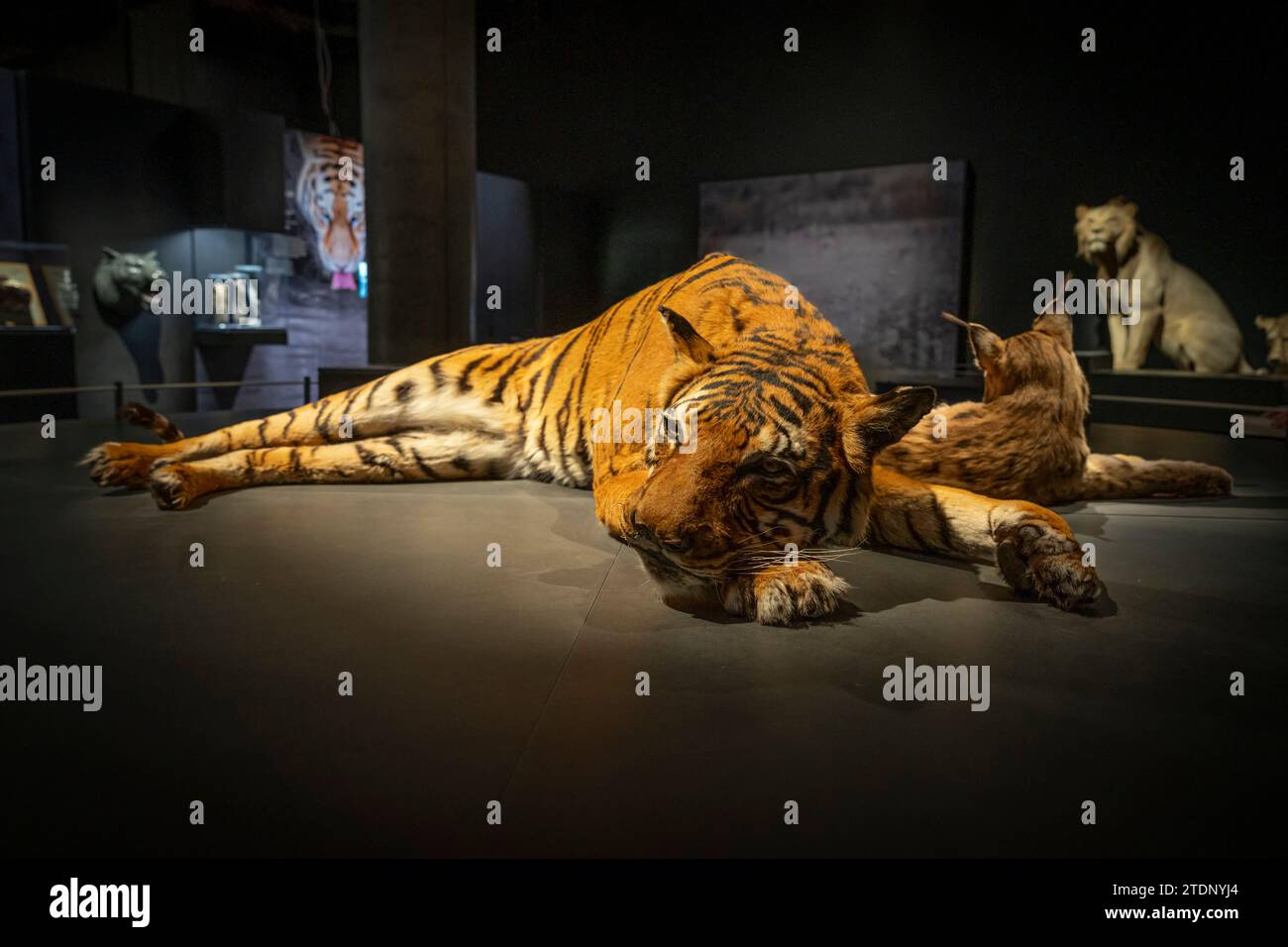 Paris, France - 06 10 2023: The Great Evolution Gallery of Paris ...