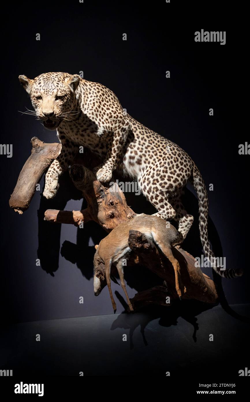 Paris, France - 06 10 2023: The Great Evolution Gallery of Paris ...