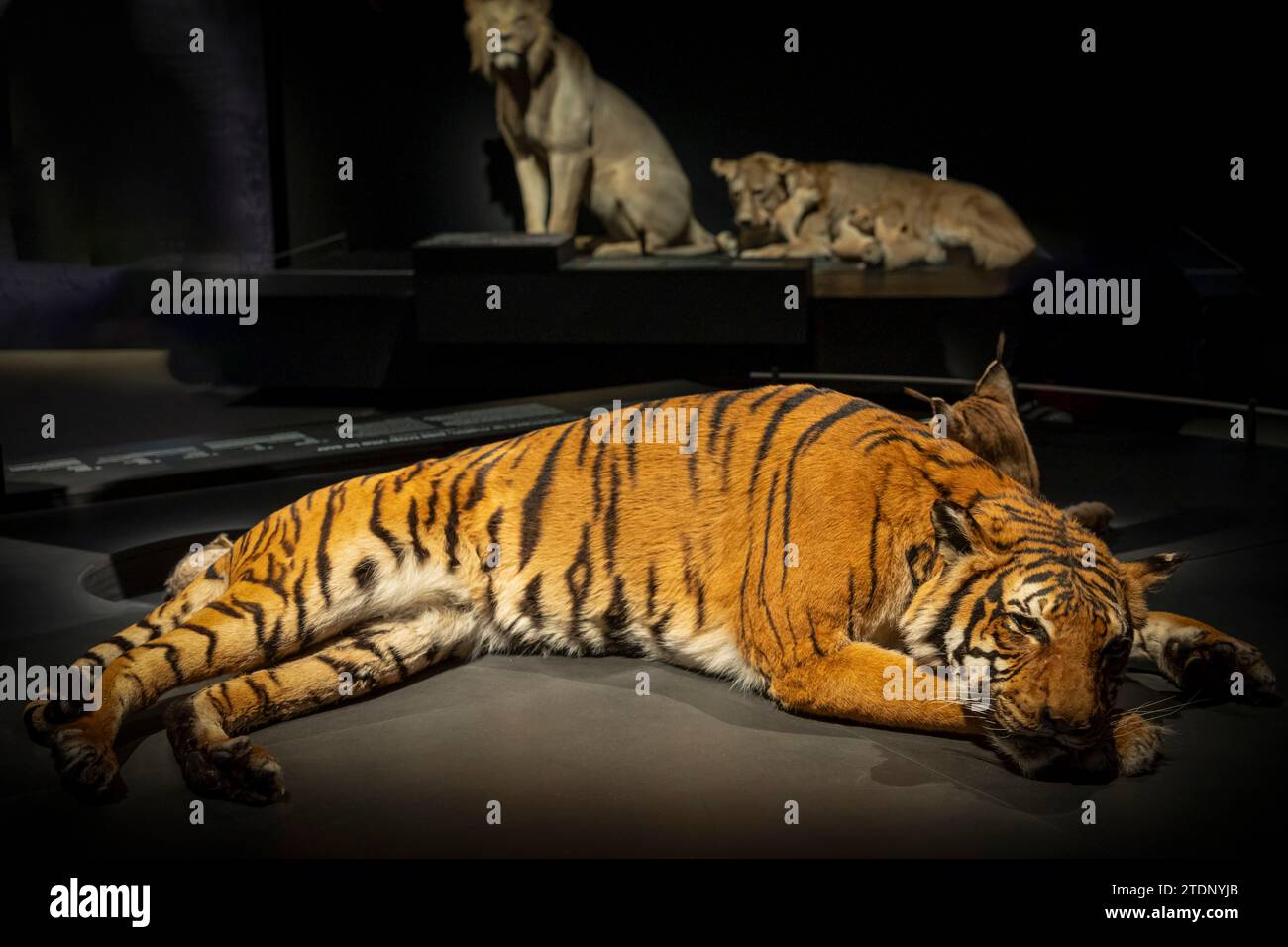 Paris, France - 06 10 2023: The Great Evolution Gallery of Paris ...