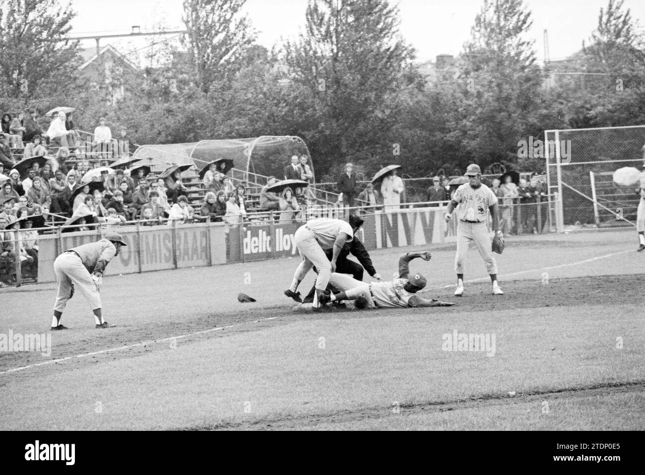 Goldpanners baseball hi-res stock photography and images - Alamy
