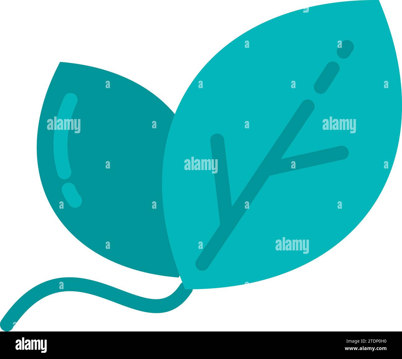 Young green leaves with stem. Conservation of forests and respect for ...