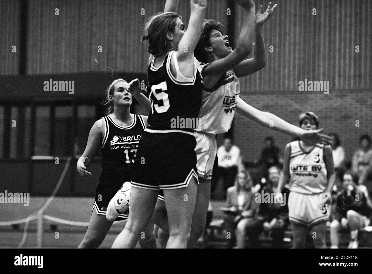 Akrides wildcats hi-res stock photography and images - Alamy