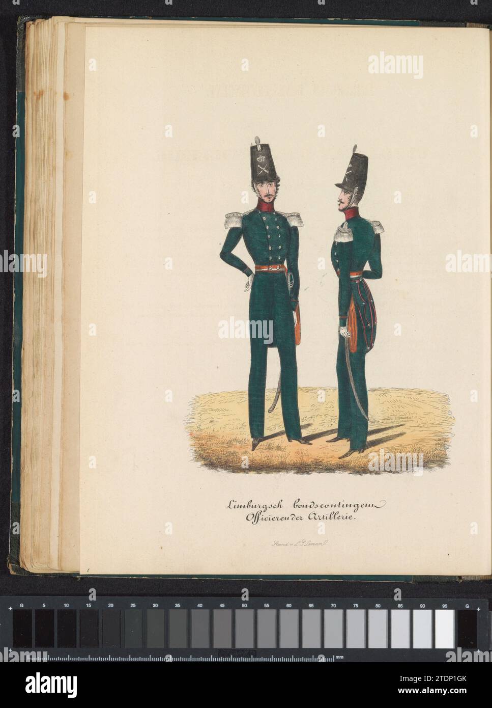 Uniform of the Artillery Officers of the Limburg Federal Contingent ...