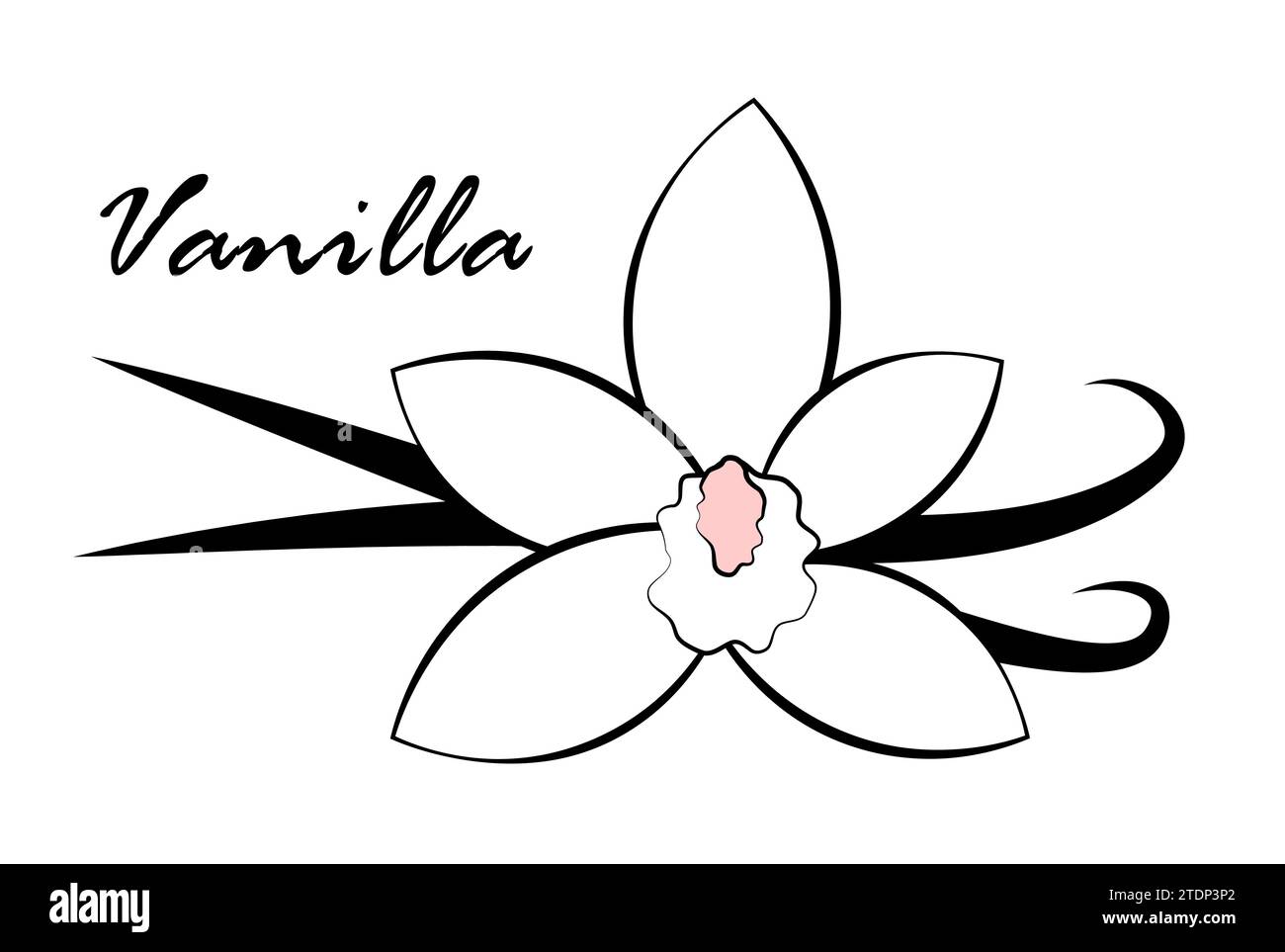 Food baking background white Stock Vector Images - Alamy