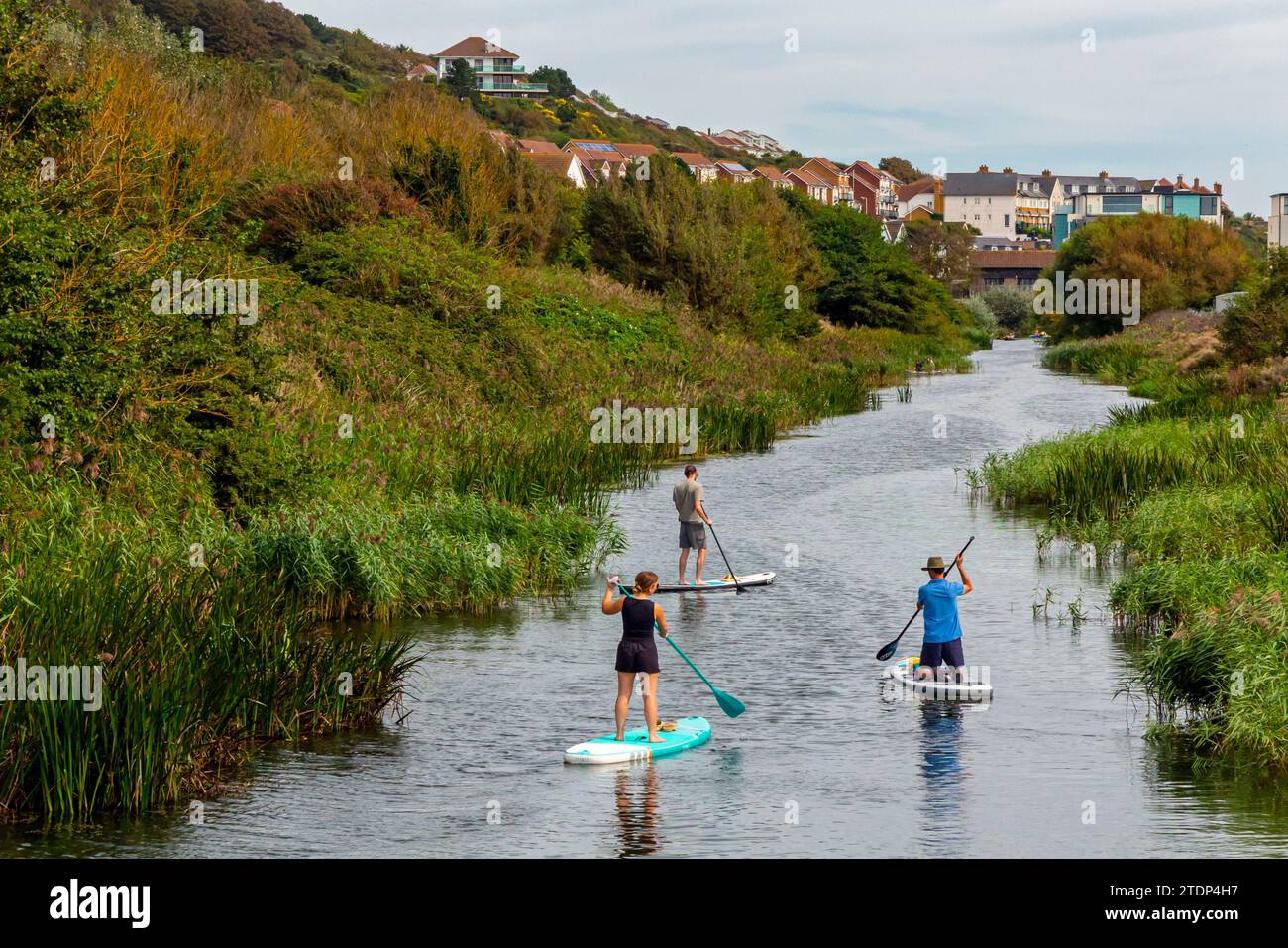 Paddle boarders on The Royal Military Canal Sandgate near Hythe in Kent ...