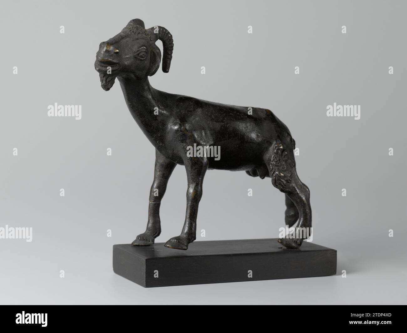 Geit, anonymous, c. 1520 - c. 1550 The goat is stretched out with the ...