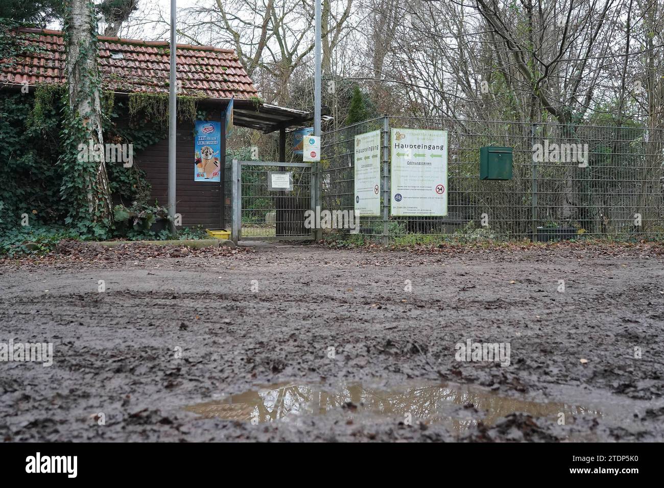 Geschlossenes Eingangstor zum Tierpark in der Fasanerie - 19.12.2023 ...