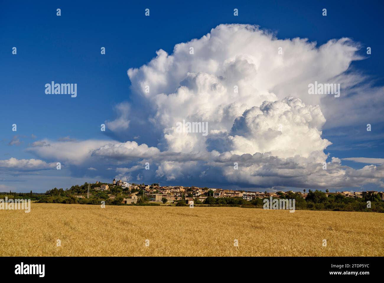 A cumulonimbus cloud from a storm formed over the Pla de Mallorca area ...