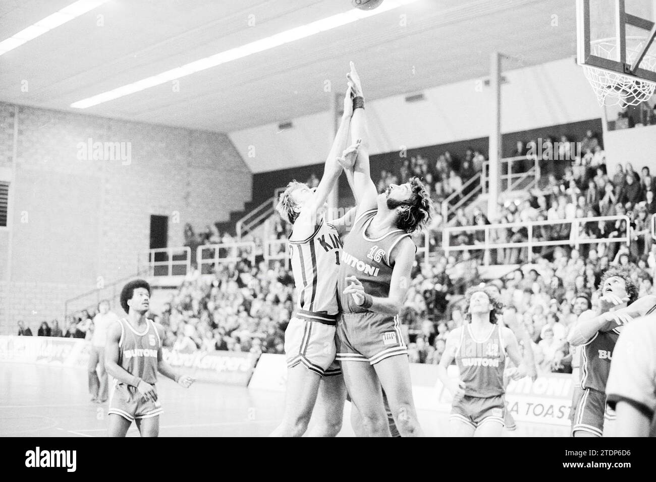 Butoni haarlem hi-res stock photography and images - Alamy