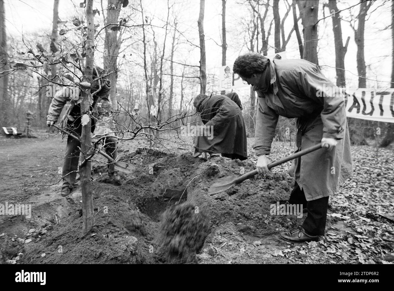 PvdA, planting trees by min. Alders, Hout, Haarlem, Trees, Haarlem ...