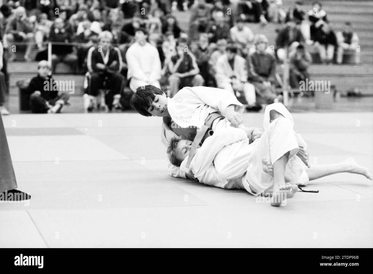 Judo competition camp hi-res stock photography and images - Alamy
