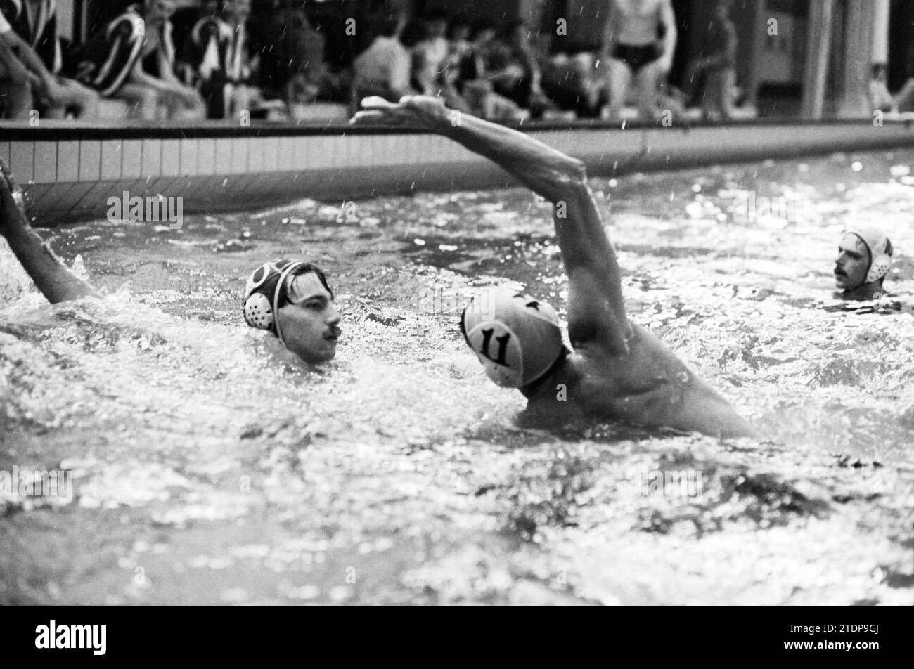 KZC - SZC, Water Polo, 15-04-1984, Whizgle News from the Past, Tailored ...