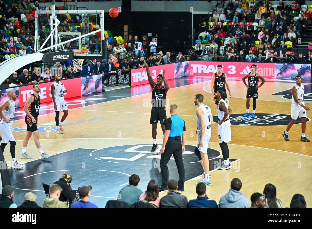London lion basketball hi-res stock photography and images - Alamy