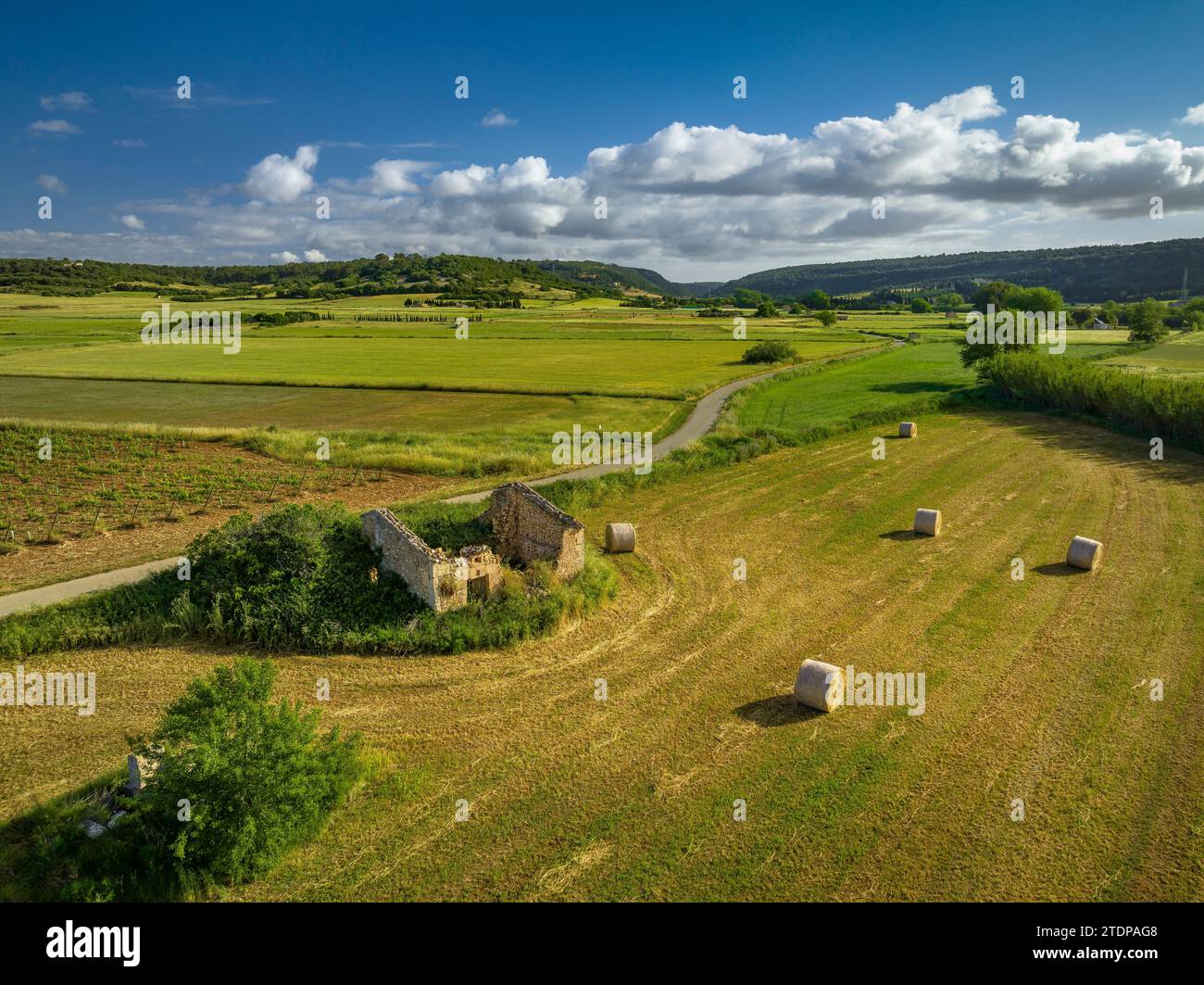 Aerial view of green fields and meadows on a spring morning in the Pla ...