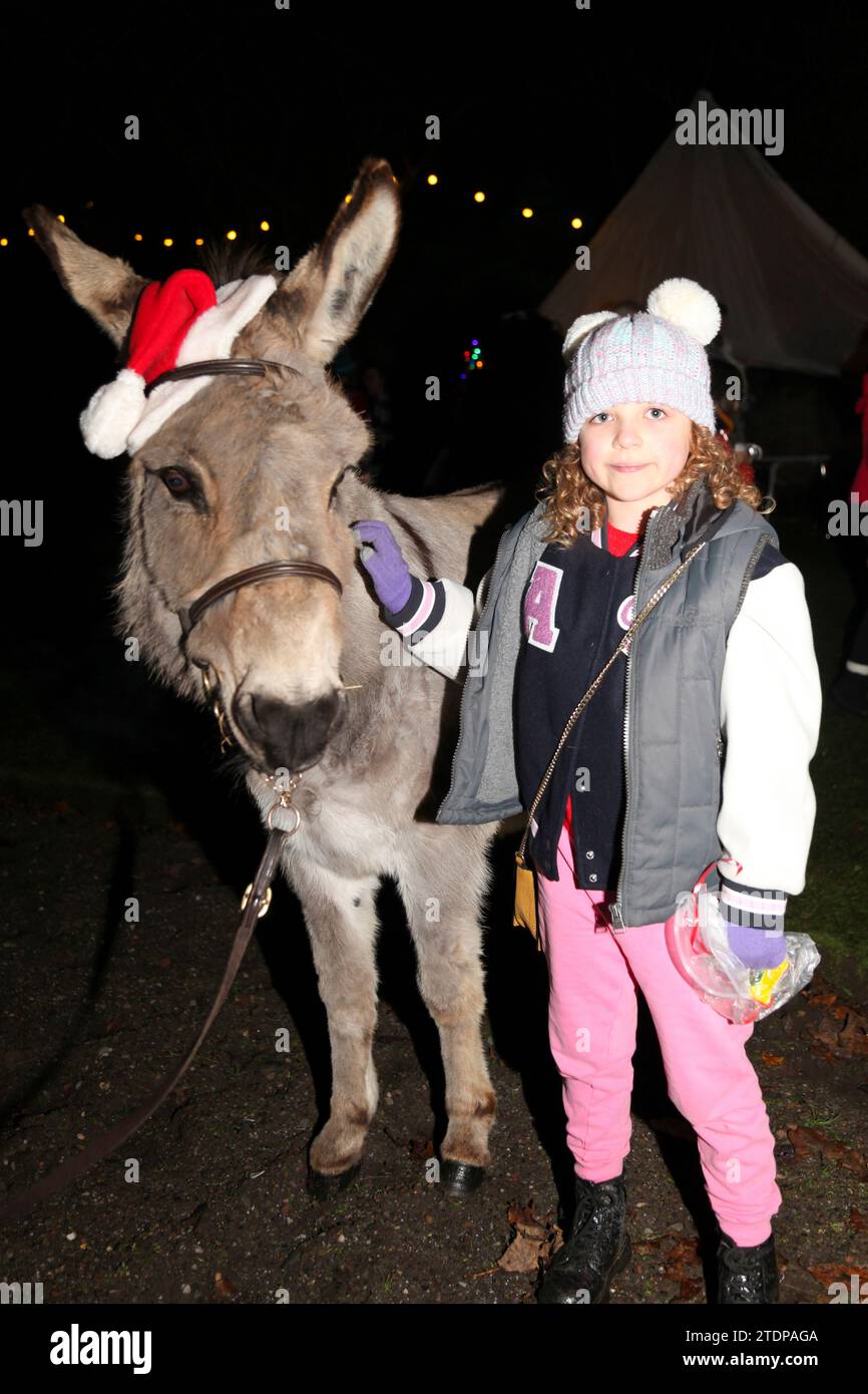 Donkey wearing hi-res stock photography and images - Alamy