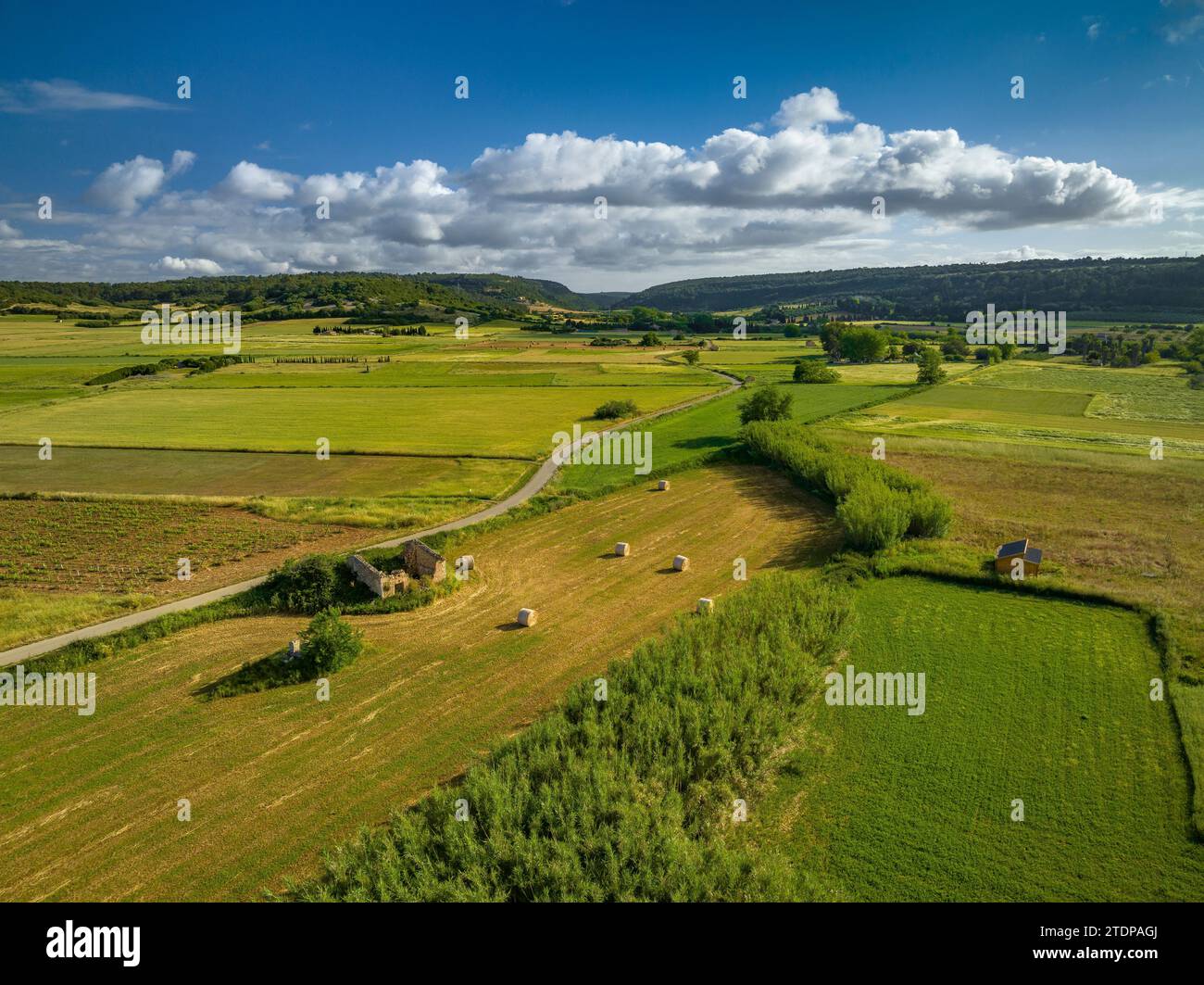 Aerial view of green fields and meadows on a spring morning in the Pla ...