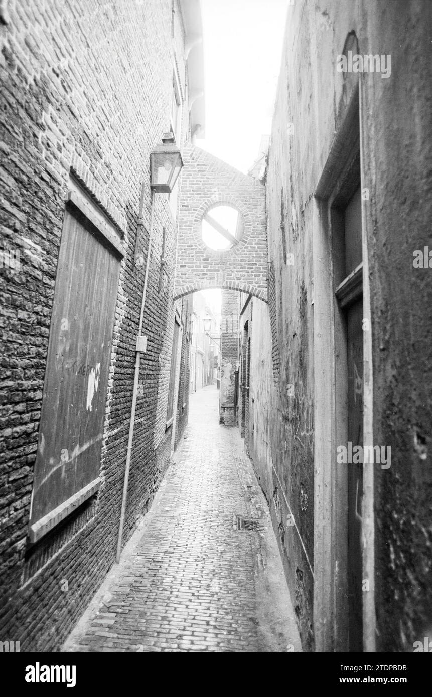 Neighborhood to watch: Holy lands + the Kamp, Haarlem, The Netherlands ...