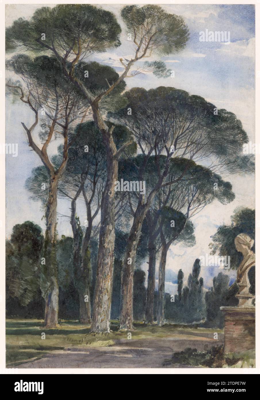 Umbrella pines in the Villa Borghese, Rome 2020 by William James Muller ...