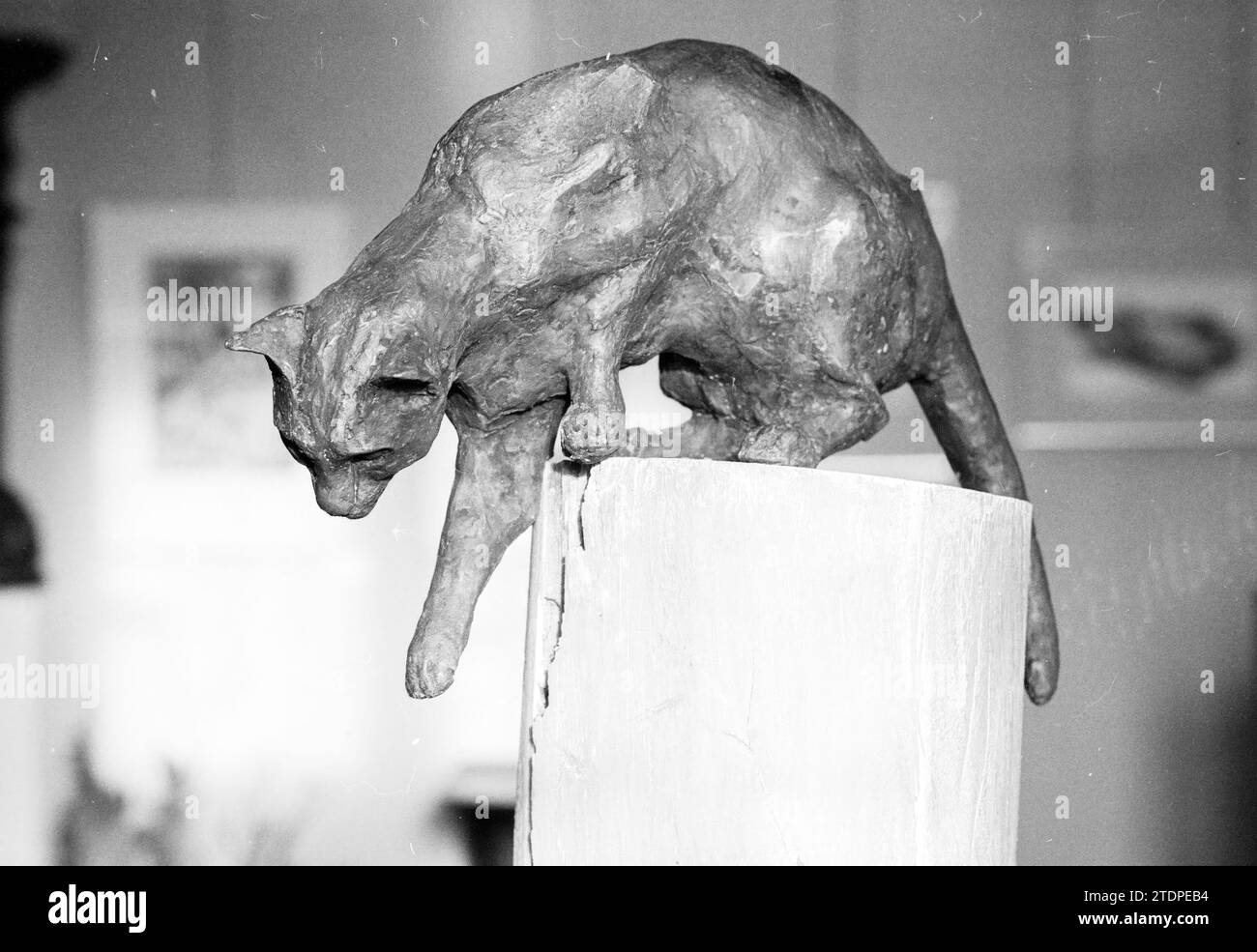 Margot dukker groot hi-res stock photography and images - Alamy