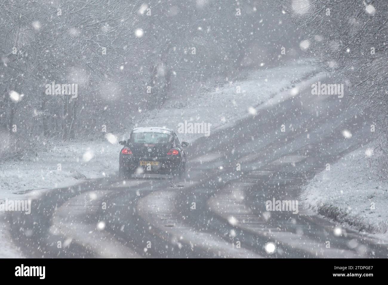 Rear view of a VW Beetle car isolated outdoors, driving along a wintry ...