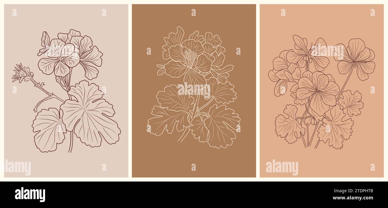 Geranium flower Line Drawing Print vector Set Stock Vector Image & Art ...