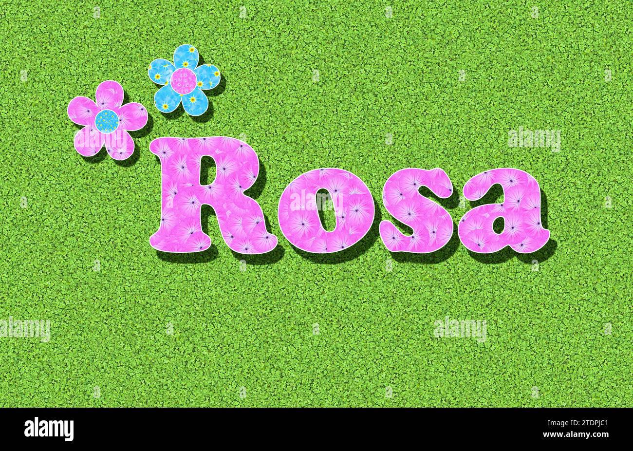 The german word rosa which means pink, written with pink flowers, baby ...