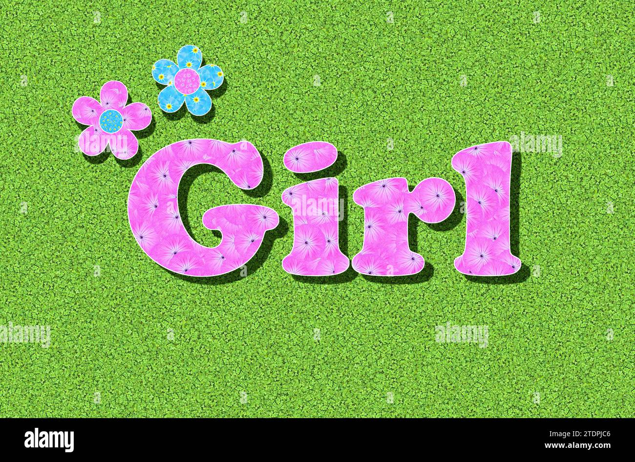 The English word Girl, written with pink flowers, baby colour, on a ...