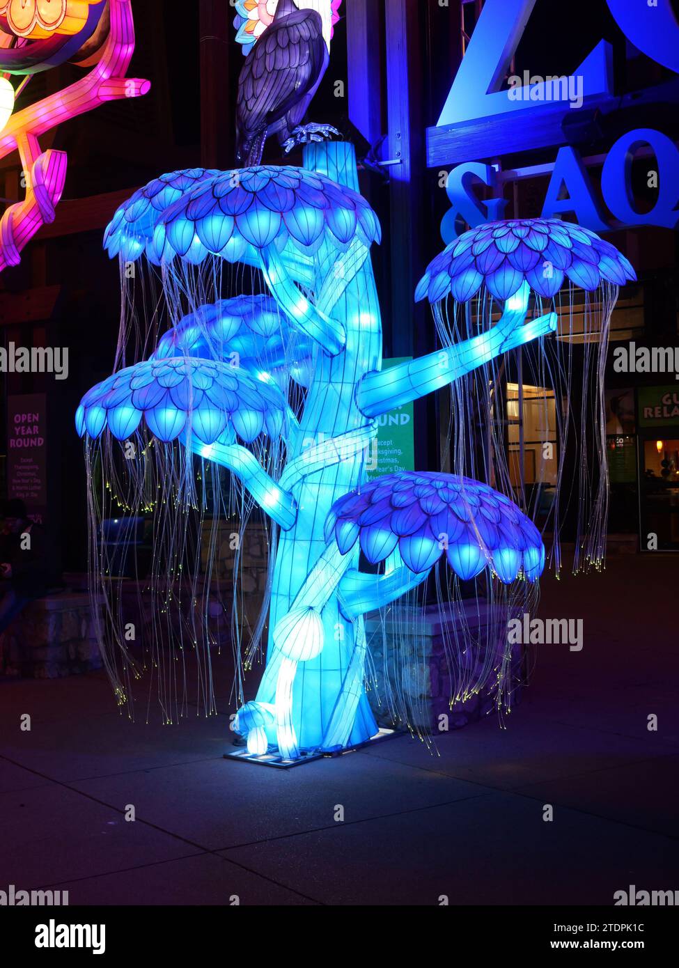 Kansas City, Missouri - December 14, 2023: Glowild Christmas Lights at ...