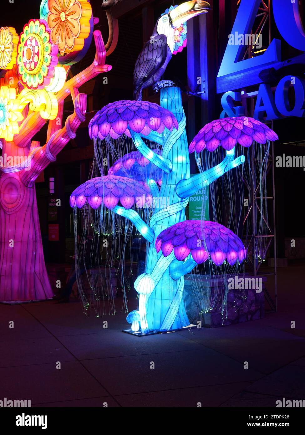 Kansas City, Missouri - December 14, 2023: Glowild Christmas Lights at ...