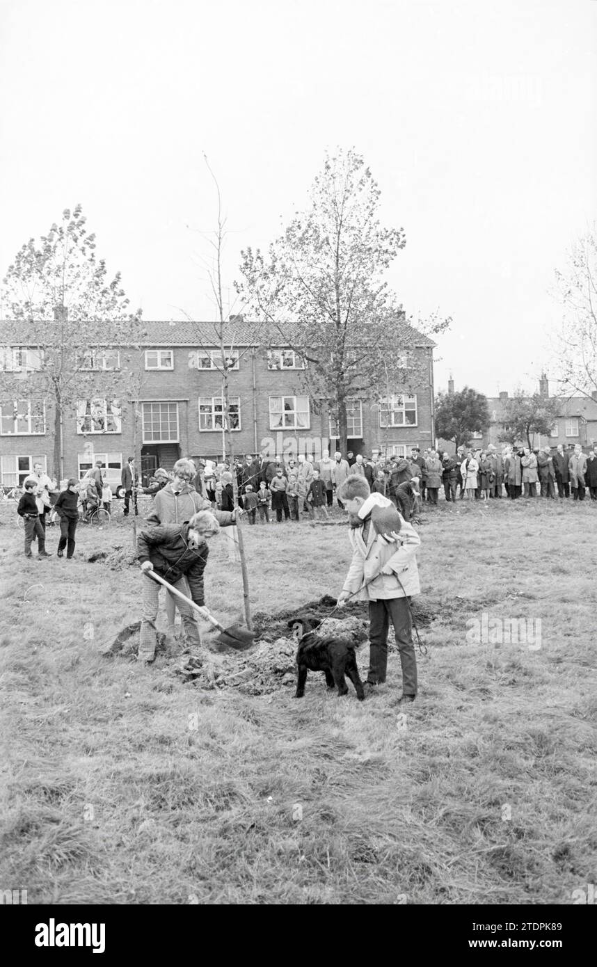 National Tree Planting Day, Whizgle News from the Past, Tailored for ...