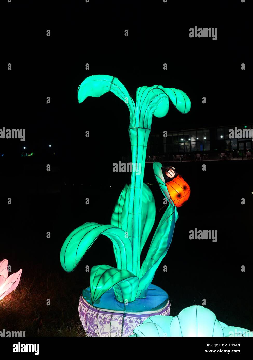 Kansas City, Missouri - December 14, 2023: Glowild Christmas Lights at ...