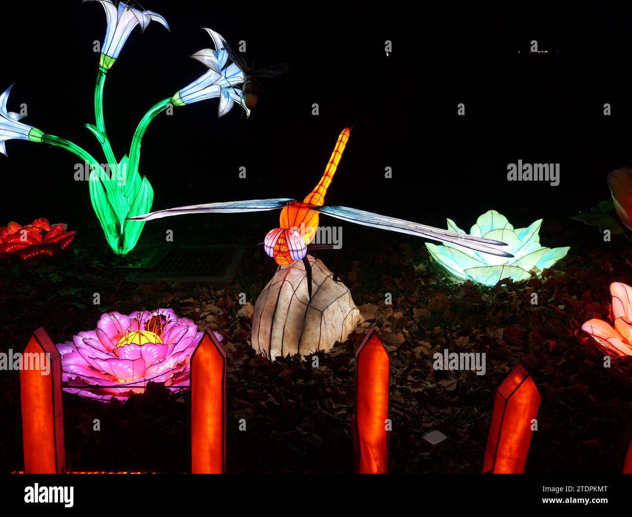 Kansas City, Missouri - December 14, 2023: Glowild Christmas Lights at ...