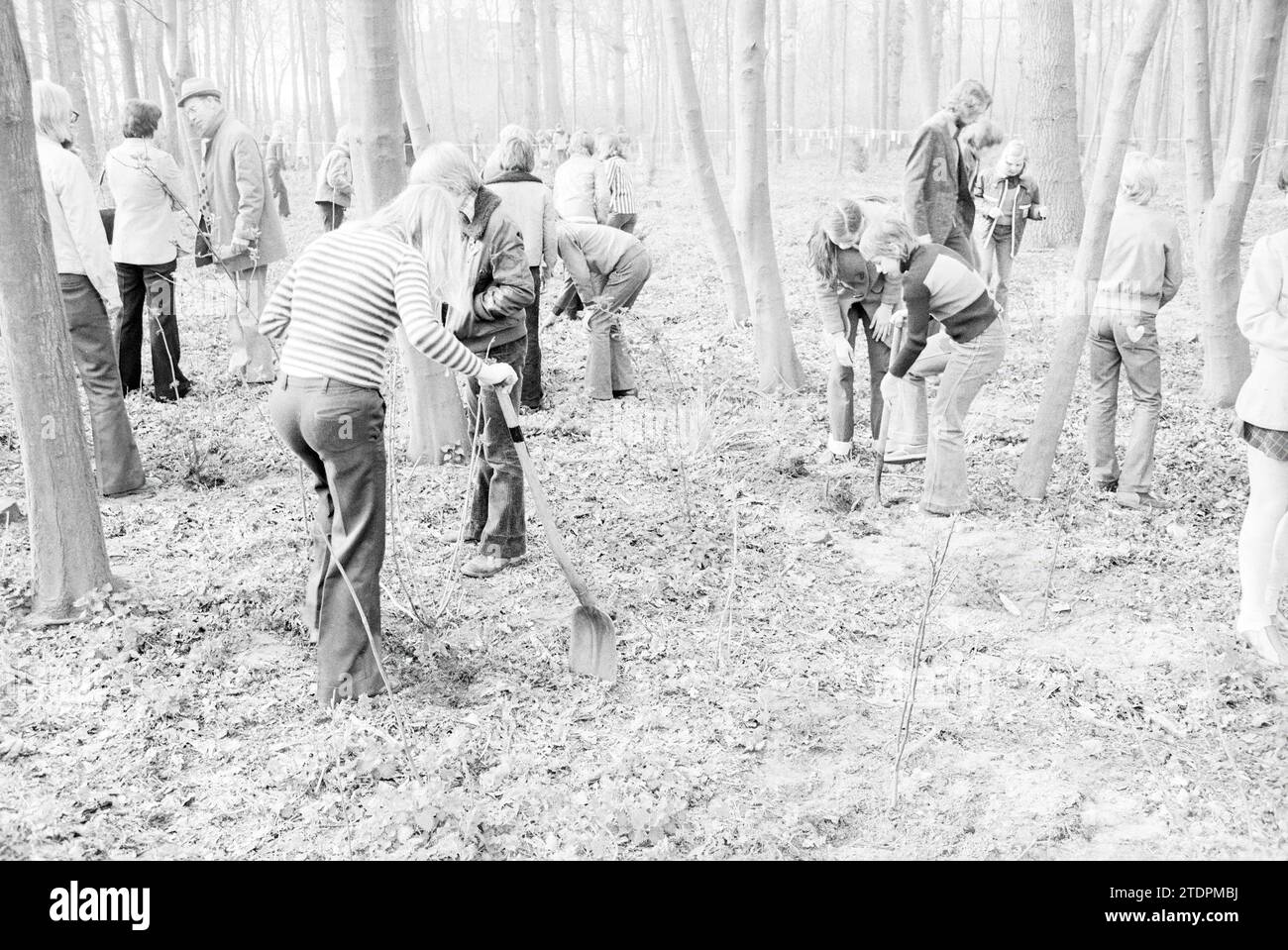 Tree planting Westerhoutpark, Trees, 03-04-1974, Whizgle News from the ...