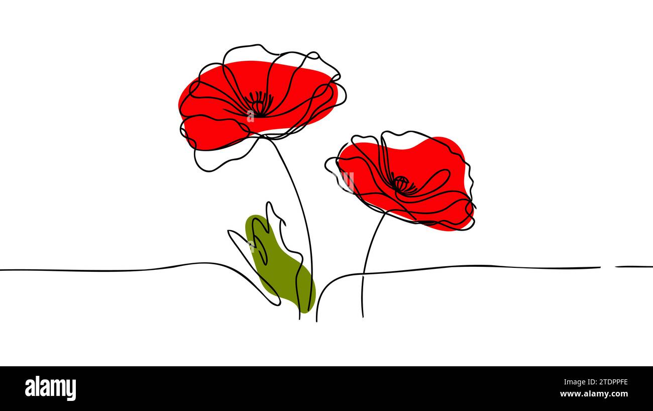 Poppy flowers in continuous line art drawing style. Doodle floral ...
