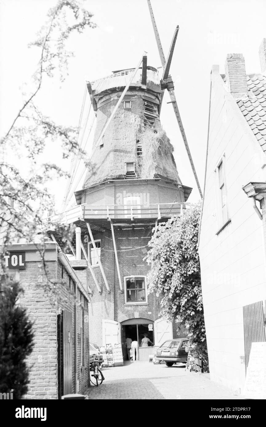 Flour mill de leeuw hi-res stock photography and images - Alamy