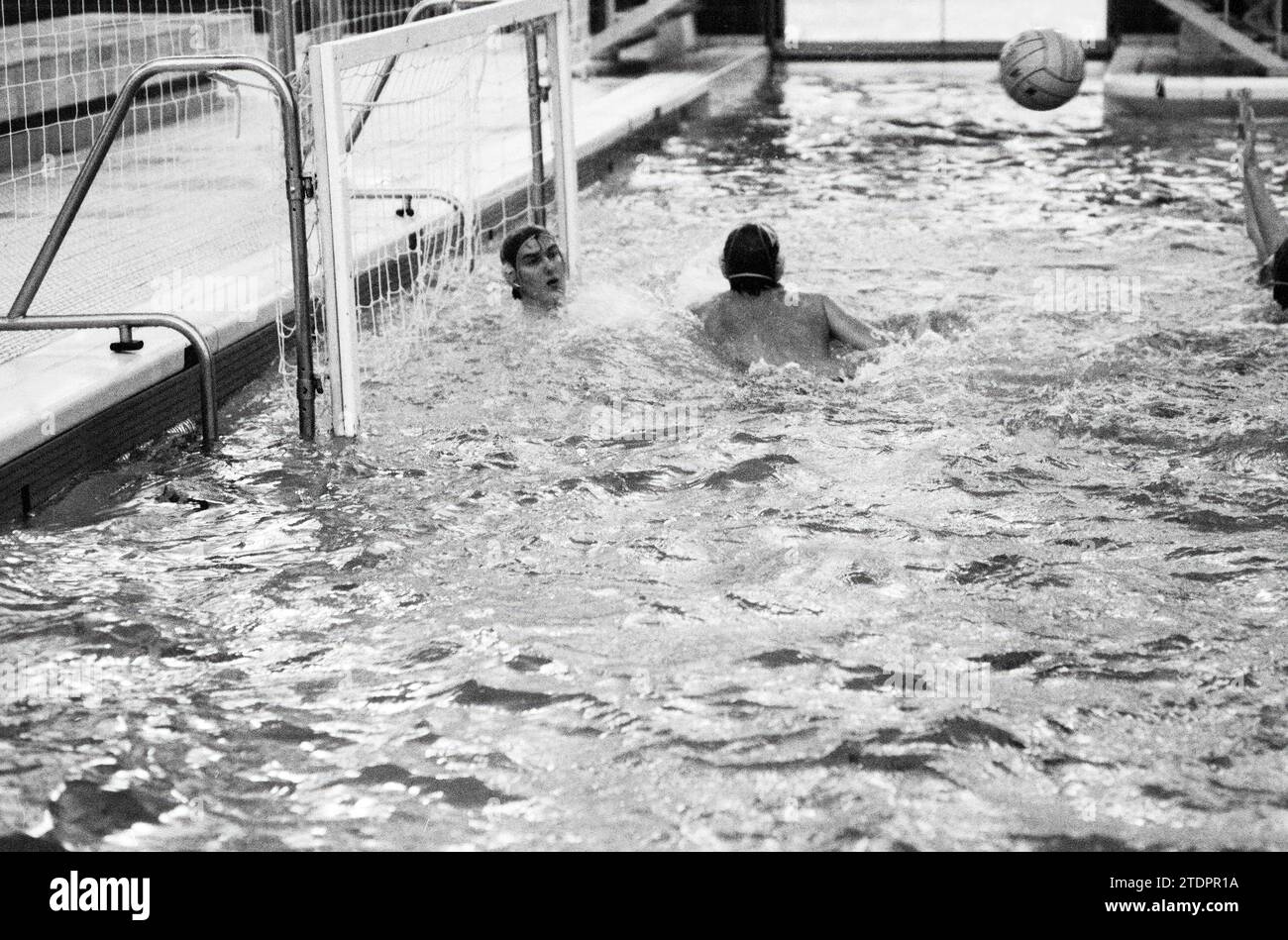 Water polo VZV - Kroos divers, Water polo, 15-03-1981, Whizgle News ...