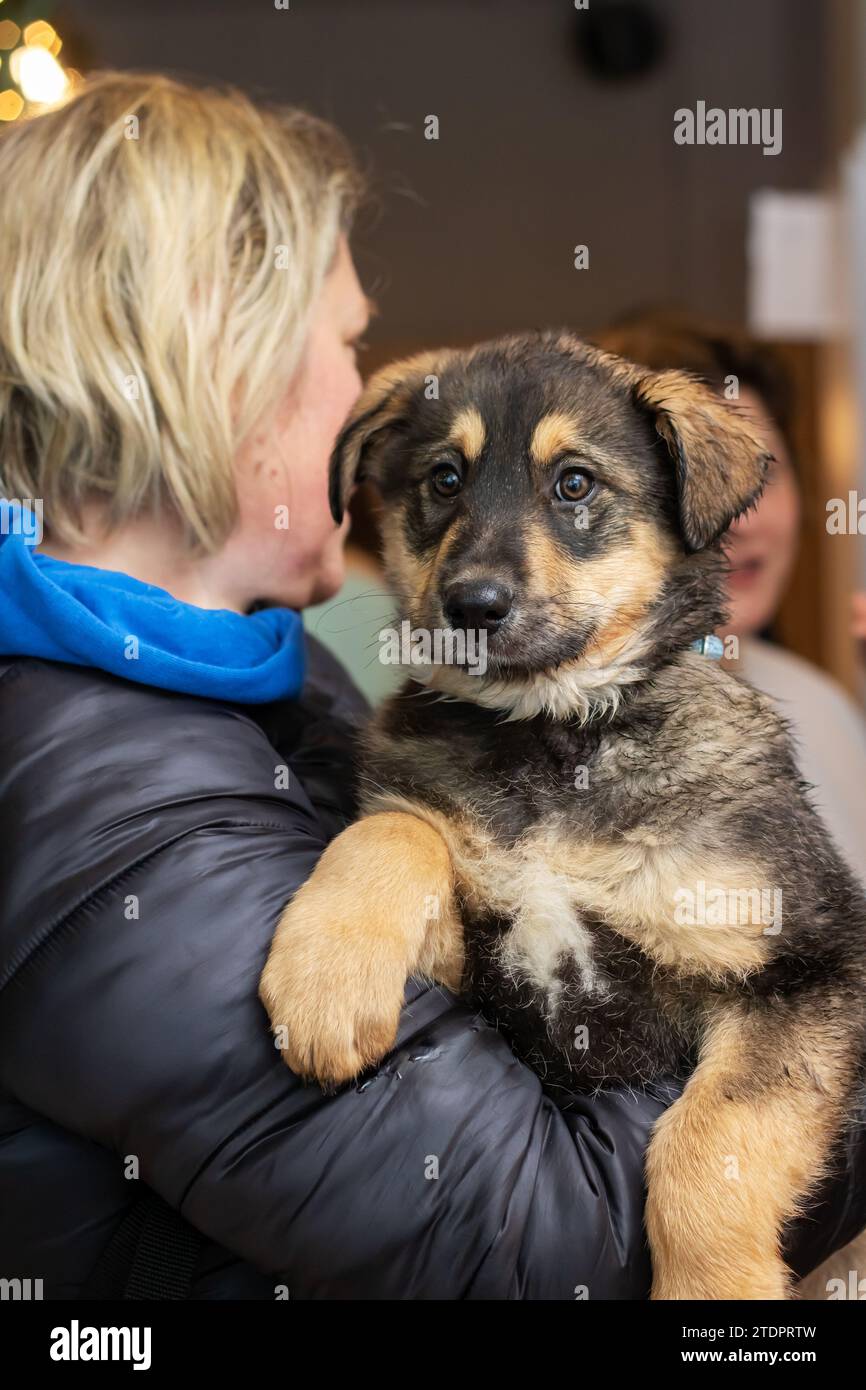 Neanimorphic hi-res stock photography and images - Alamy