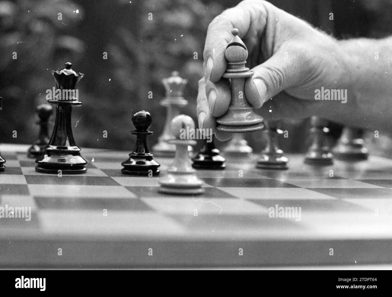 Portrait chess player, 14-08-1989, Whizgle News from the Past, Tailored ...