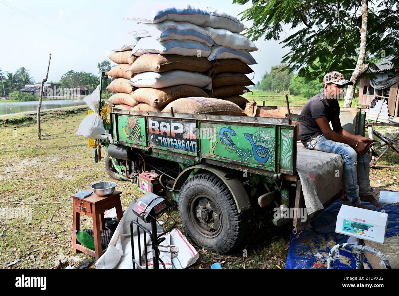 Food corporation of india hi-res stock photography and images - Alamy
