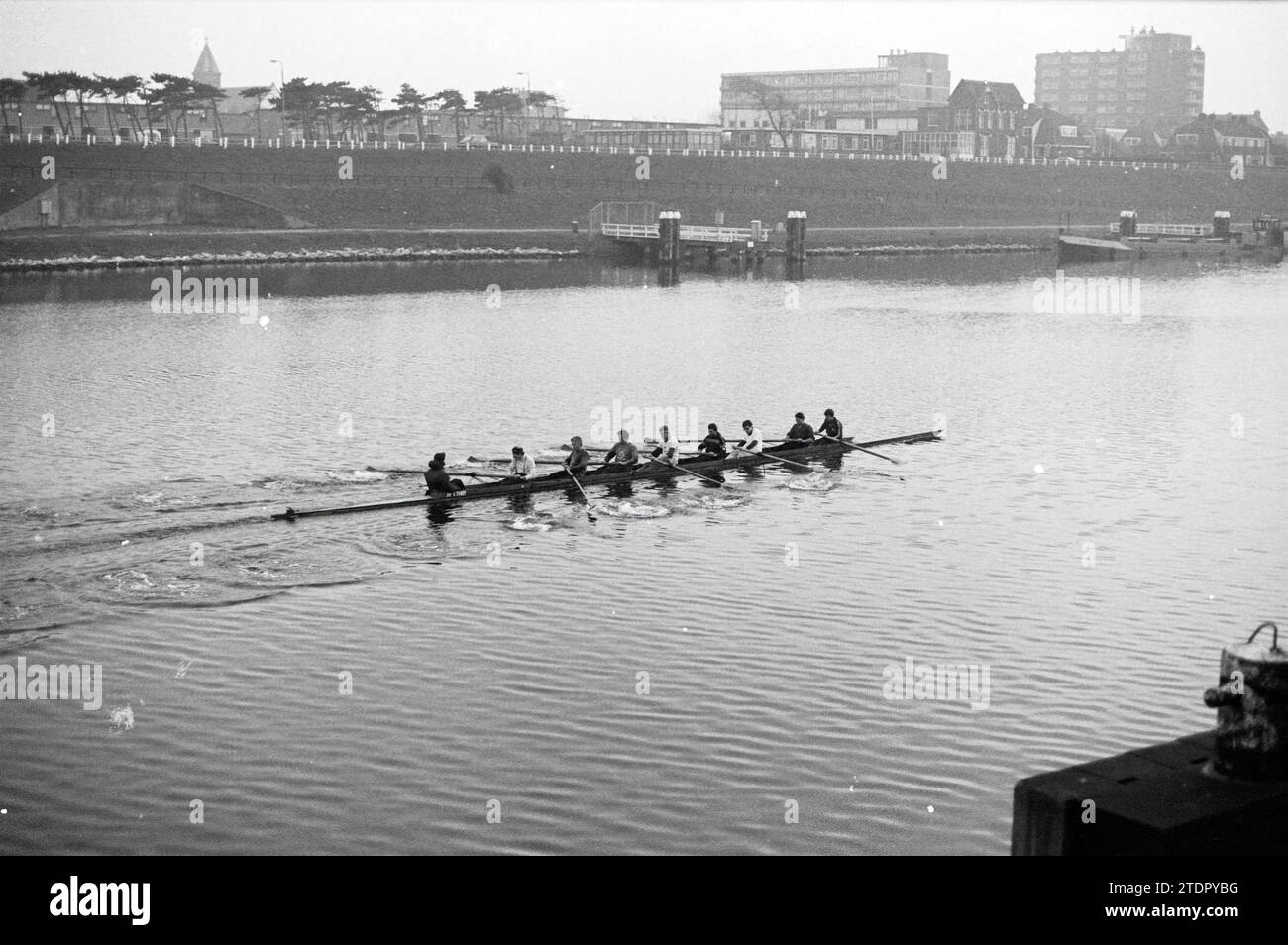 Rowing club de stern rowing hi-res stock photography and images - Alamy