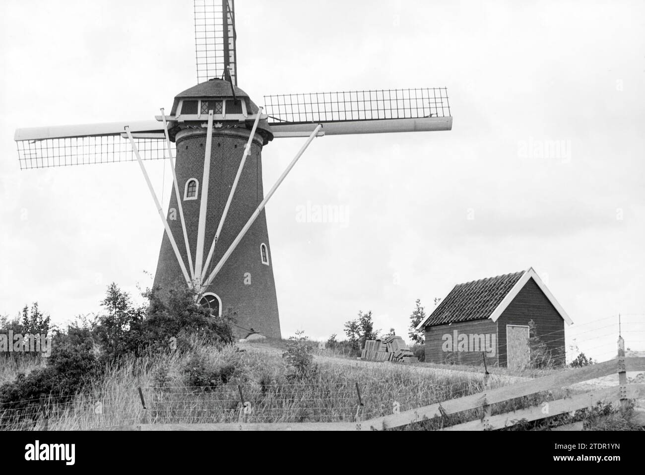 De eersteling hi-res stock photography and images - Alamy